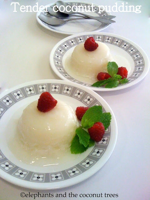 Elaneer pudding / Kariku / Tender coconut pudding - elephants and the ...