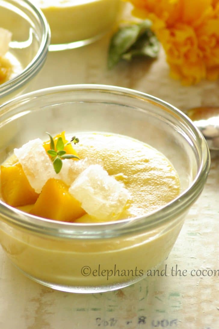 Arrowroot Milk Pudding with Dragon Fruit Topping - elephants and the coconut trees