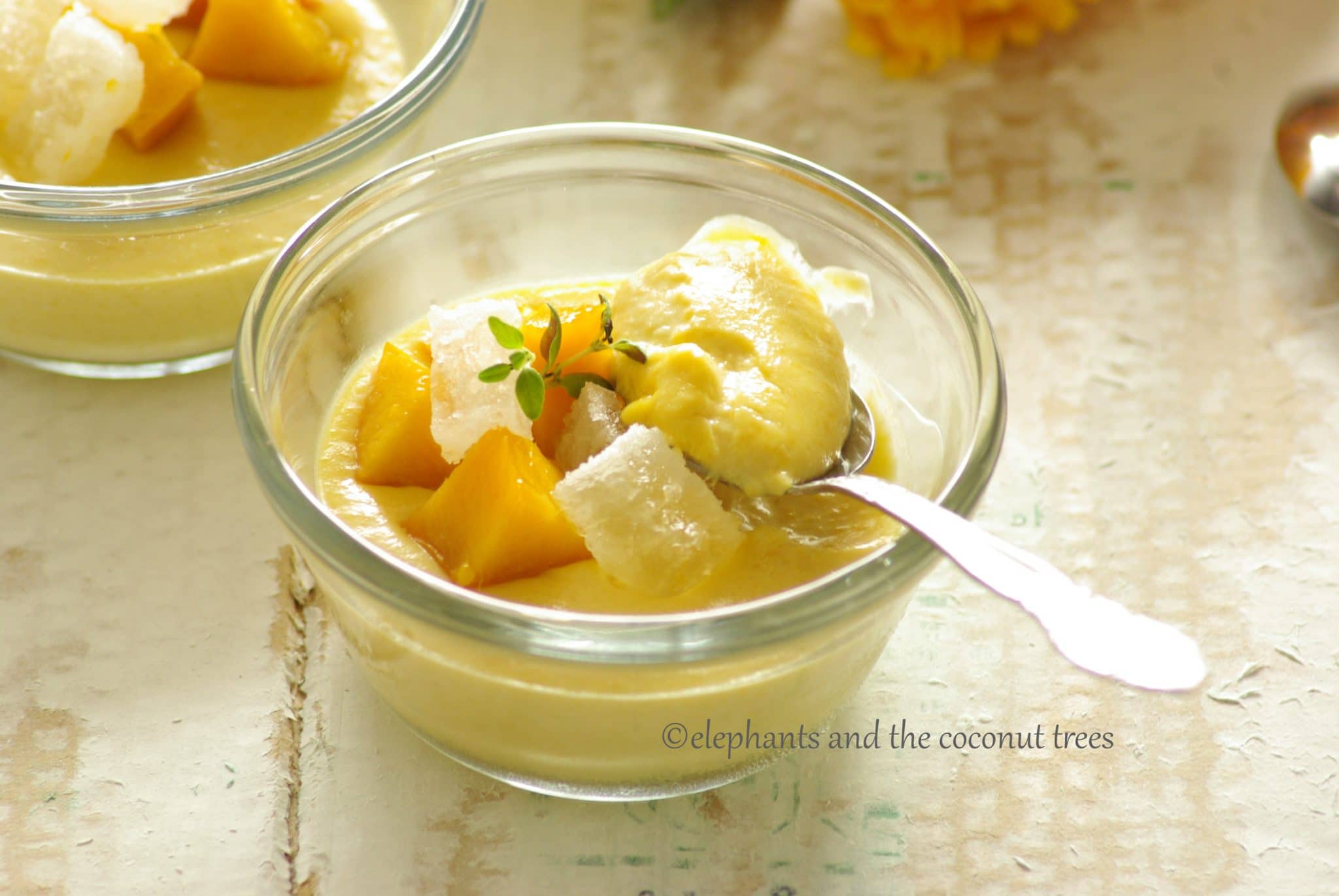 Mango Pudding - (Easy recipe) elephants and the coconut trees