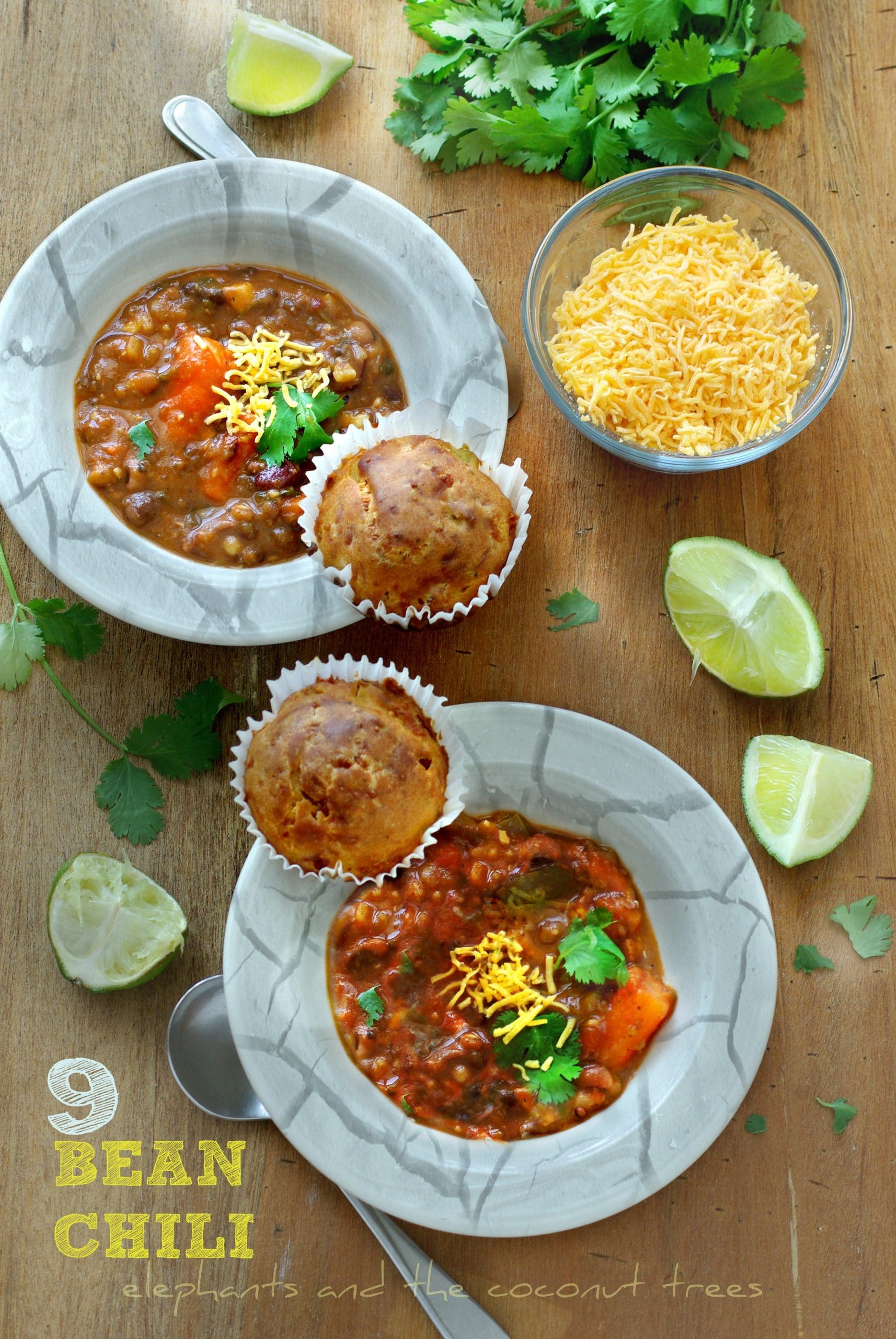 Best Vegetarian Chili with 9 Beans - elephants and the coconut trees