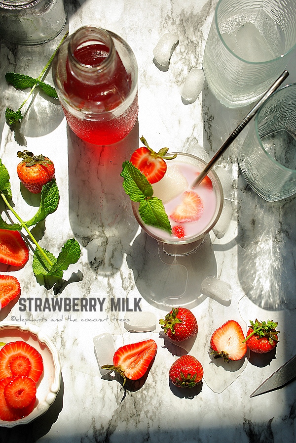 Strawberry Milk - elephants and the coconut trees